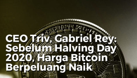 CEO Triv, Gabriel Rey: Sebelum Halving Day 2020, Harga Bitcoin Bisa ...